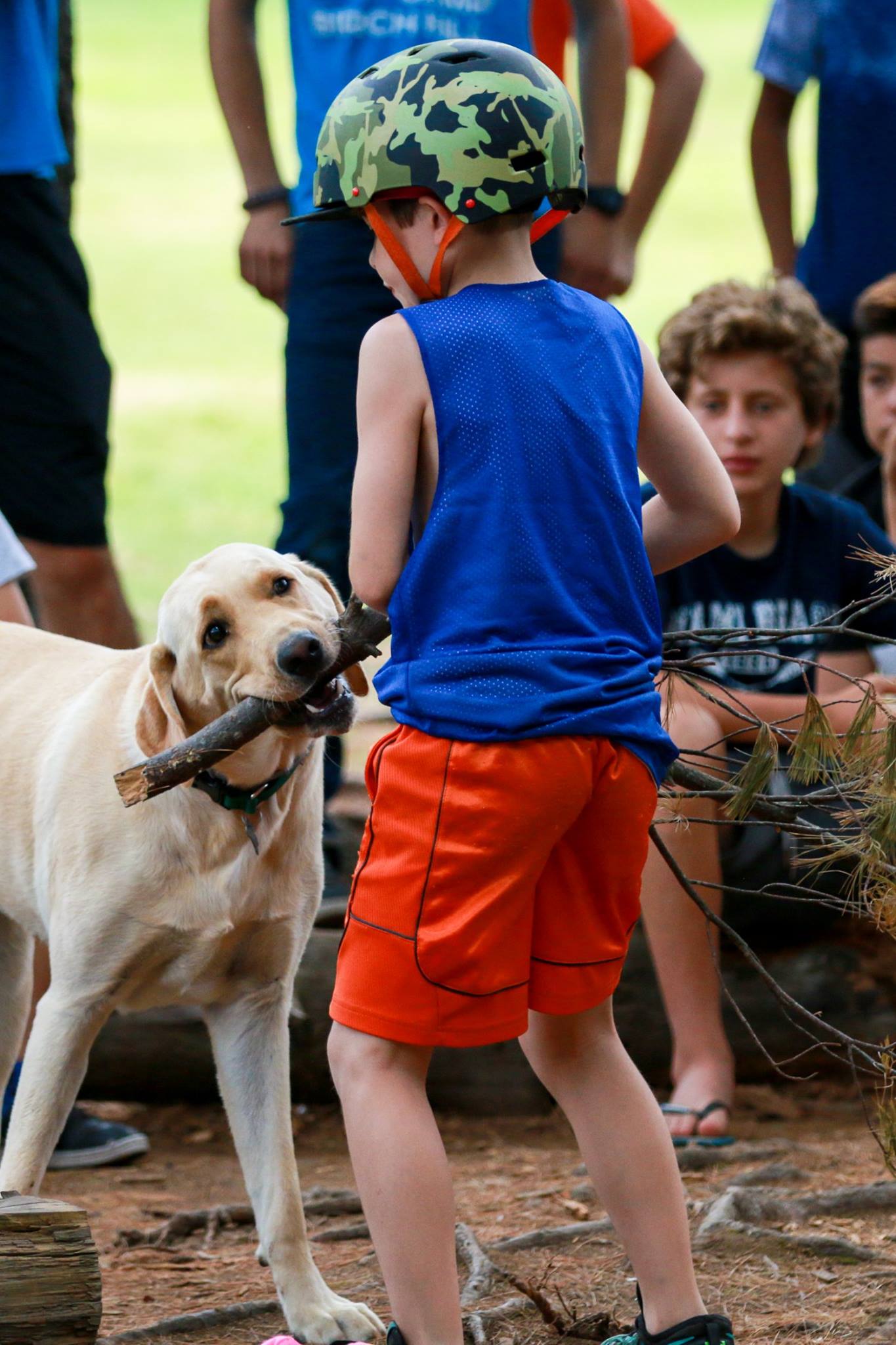 The Summer Camp Dogs of Camp Birch Hill - Camp Birch Hill