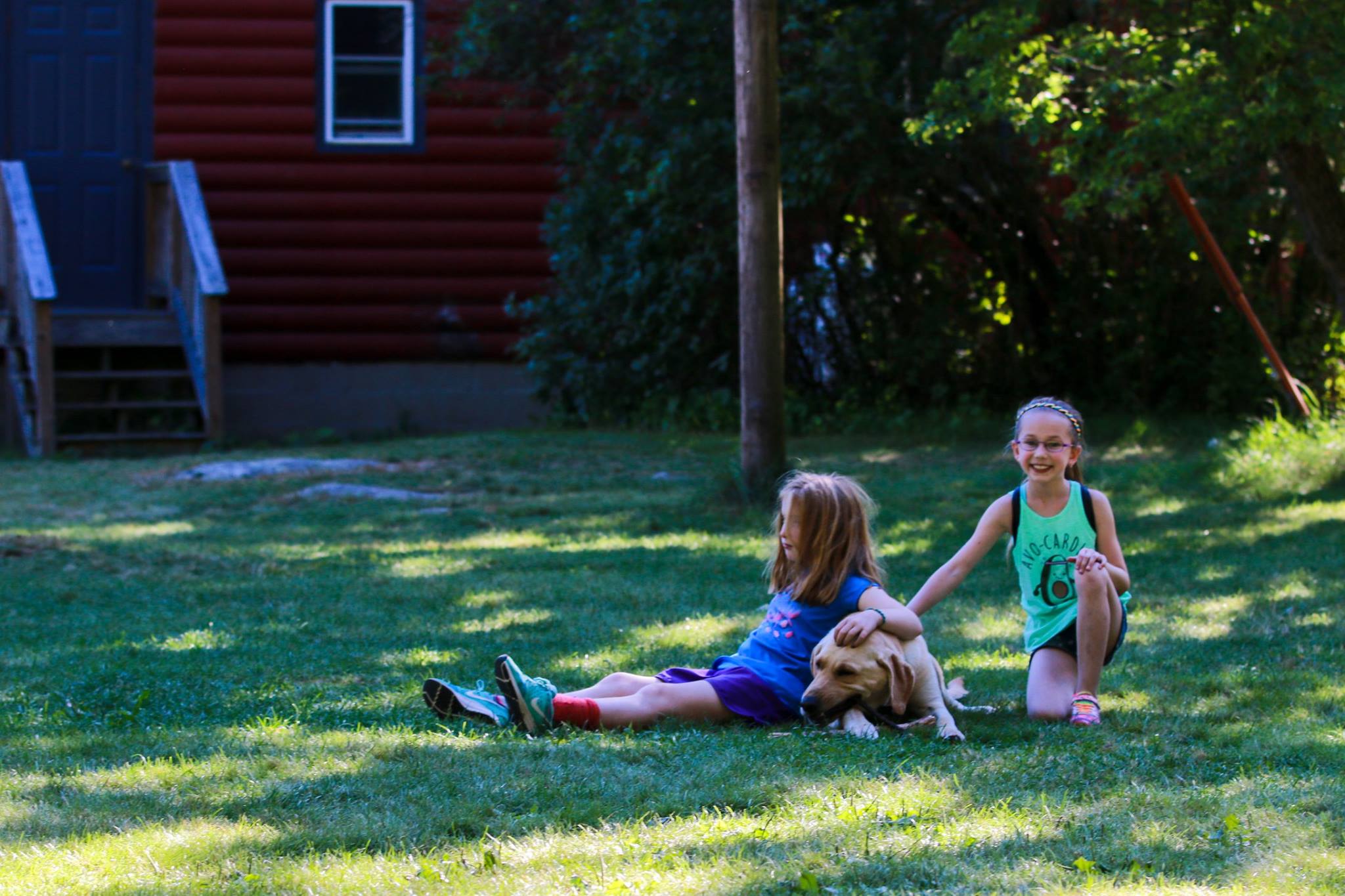 The Summer Camp Dogs of Camp Birch Hill - Camp Birch Hill
